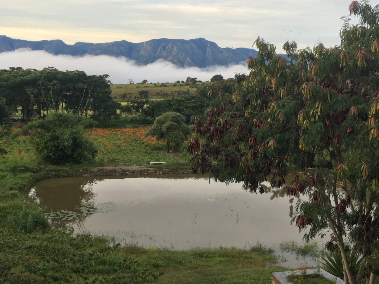 Dhole's Den - Bandipur Homestay, Bandipur Resorts, Safari Lodge